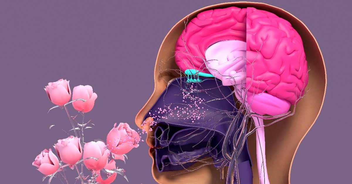 Feromonas – Sweet Cherry